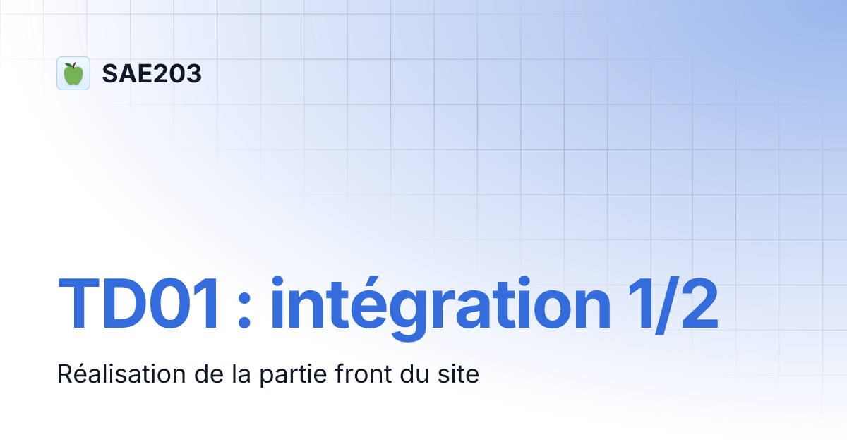TD01 : intégration 1/2 | SAE203